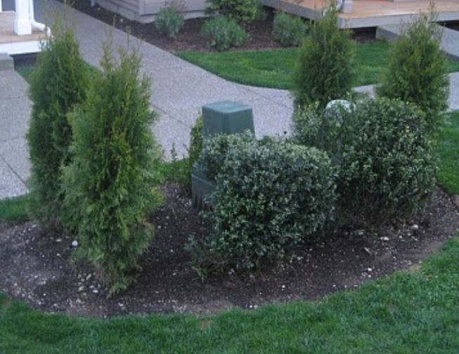 Centerpointe Communicator: Landscaping around utility boxes and lines
