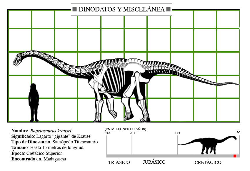 Rapeto, el gigante de Madagascar | Dinosaurios (El Cuaderno de Godzillin)