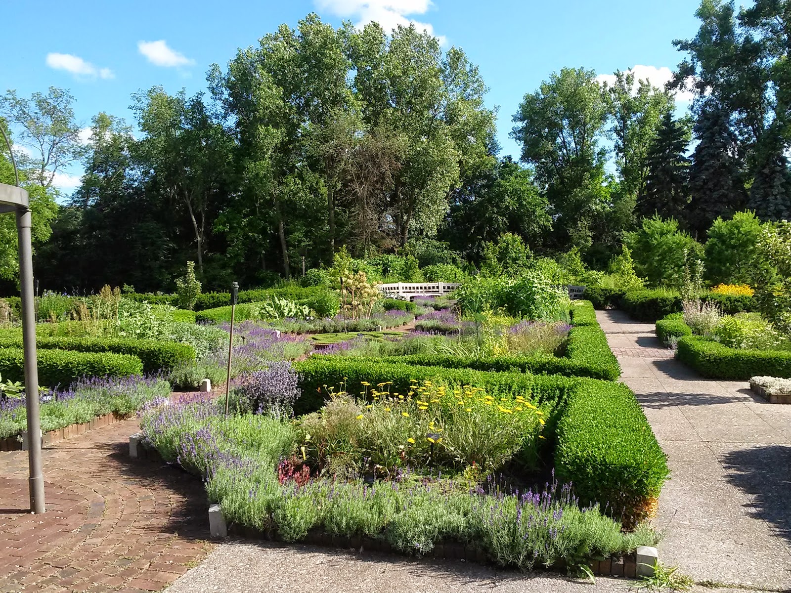 Debonair David: Matthaei Botanical Gardens