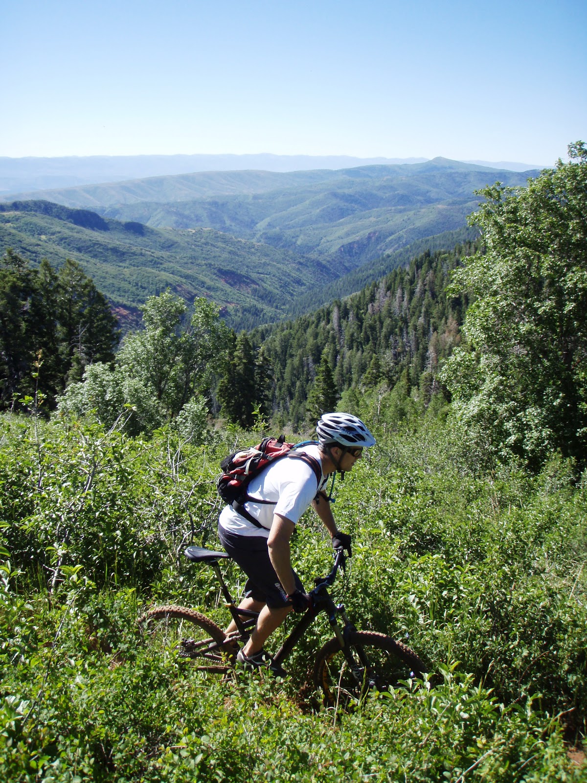 ONE TRAIL AT A TIME...: The Blackhawk Trail