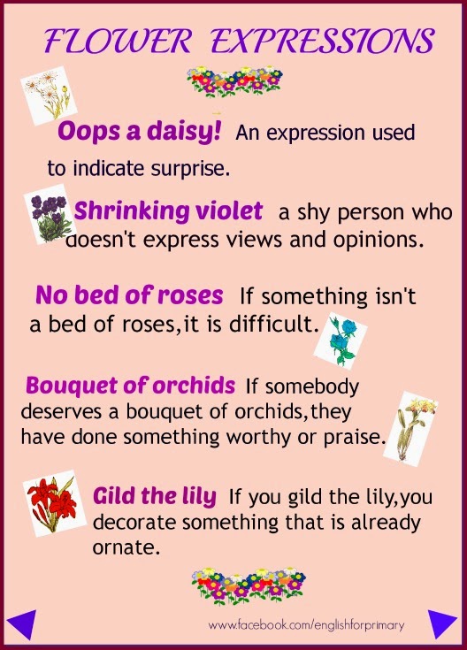 English for primary: Flower idiomatic expressions