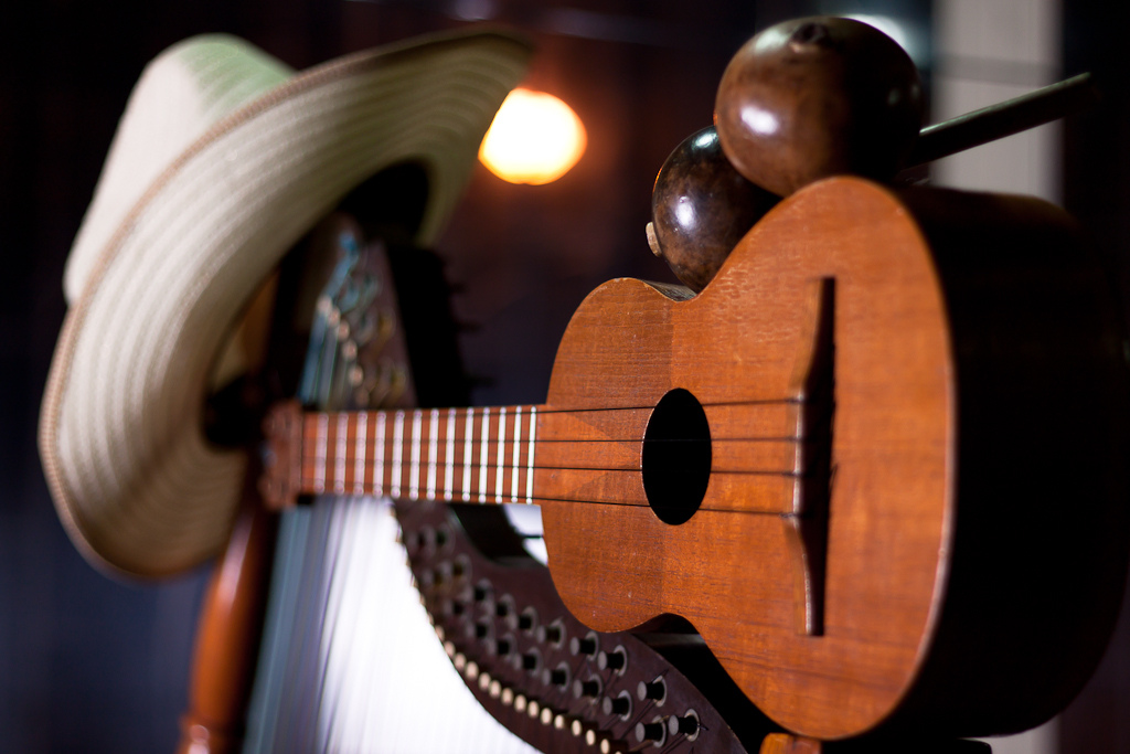 Tu Guia LLanera: Cultura y Tradiciones del LLano