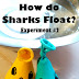 How Sharks Float Science Experiment: Part 1 (of 2) | Preschool Powol ...