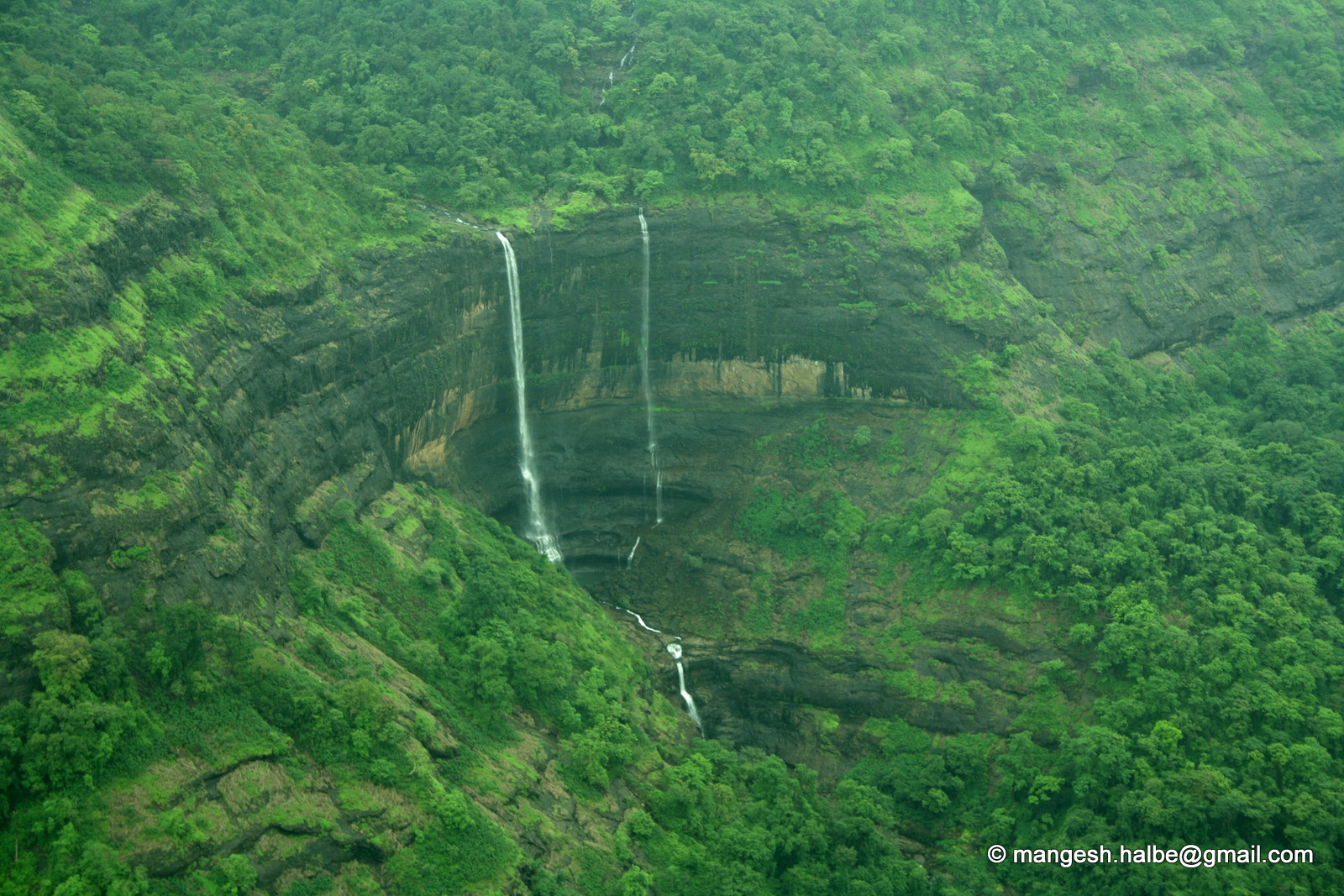 Green Carpet - The Nature Club: Trek to Rajmachi (waterfall destination ...