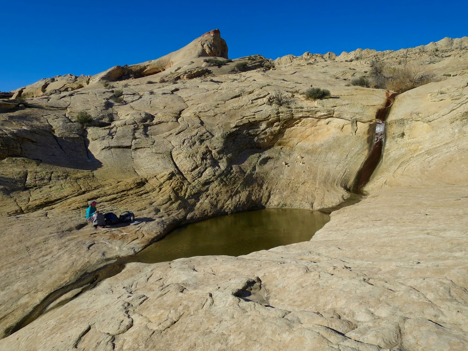 Rambling Hemlock: Lower Muley Twist in Capitol Reef
