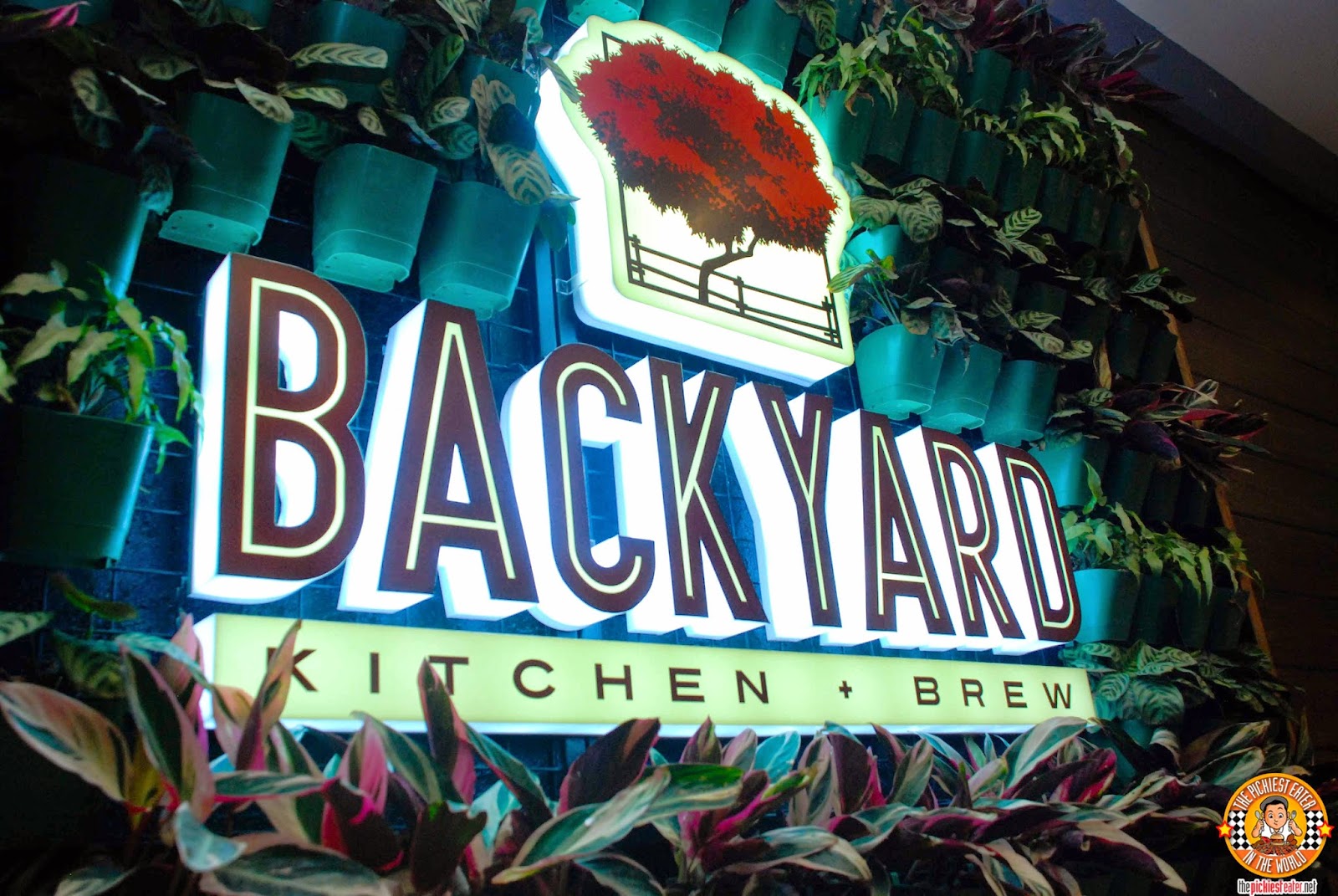 THE PICKIEST EATER IN THE WORLD: HANGING OUT AT BACKYARD KITCHEN + BREW