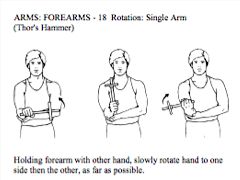 Destination Jacked: Muscle Headquarters : Wrist Leverage Bar Review ...