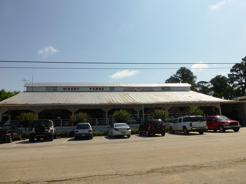 The Traveling Baesels: Peaches, Peaches, and More Peaches at Dickey ...