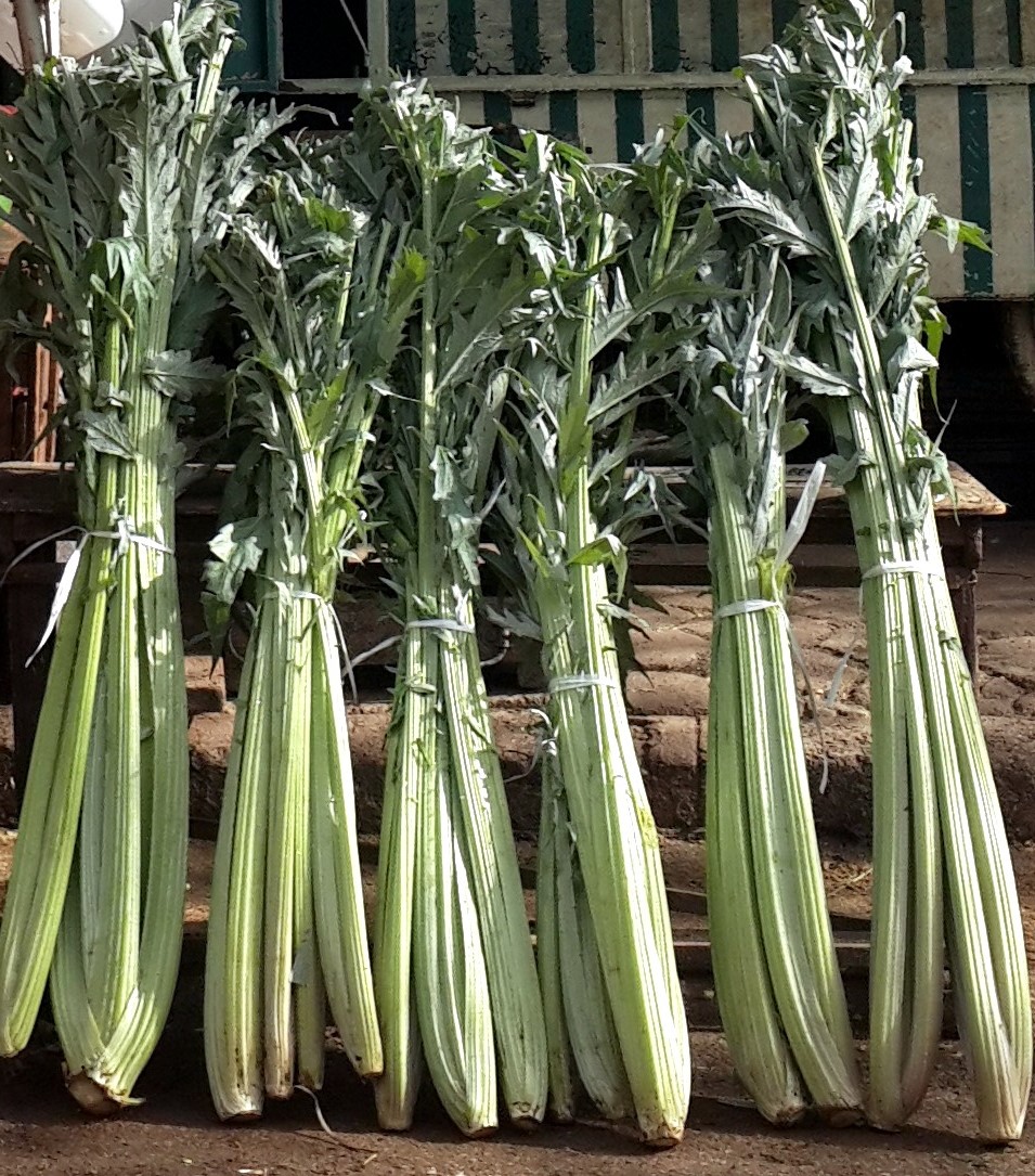 Gourmet Lodging : Les Cardons: légume à redécouvrir