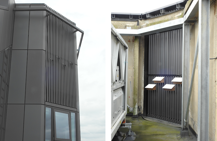 Action for Swifts: Swift boxes at the David Attenborough Building