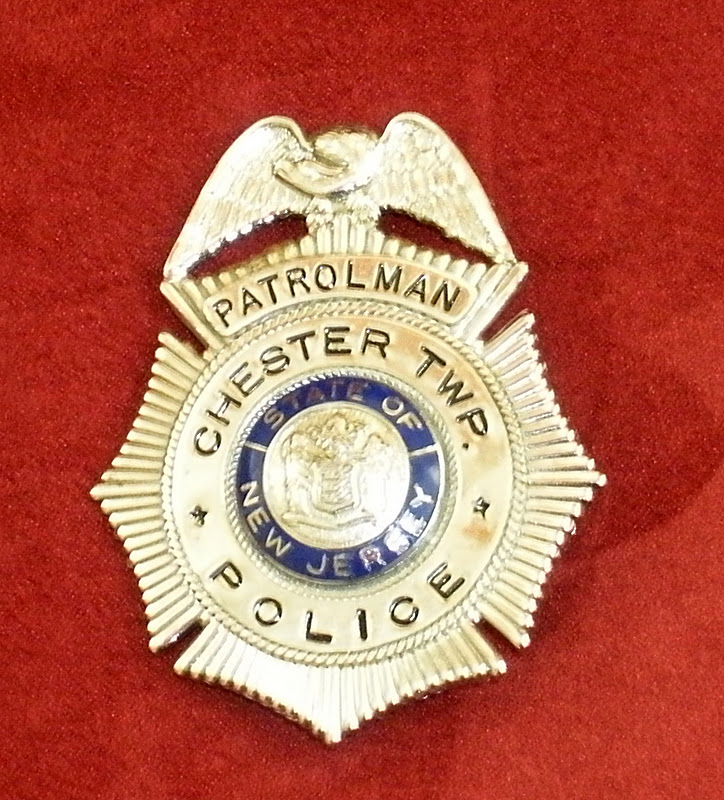 BADGE COLLECTOR: 2011