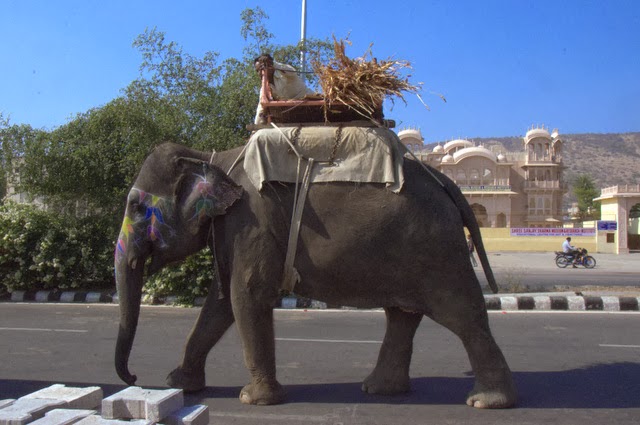 India – ALL I NEED IS MY PASSPORT