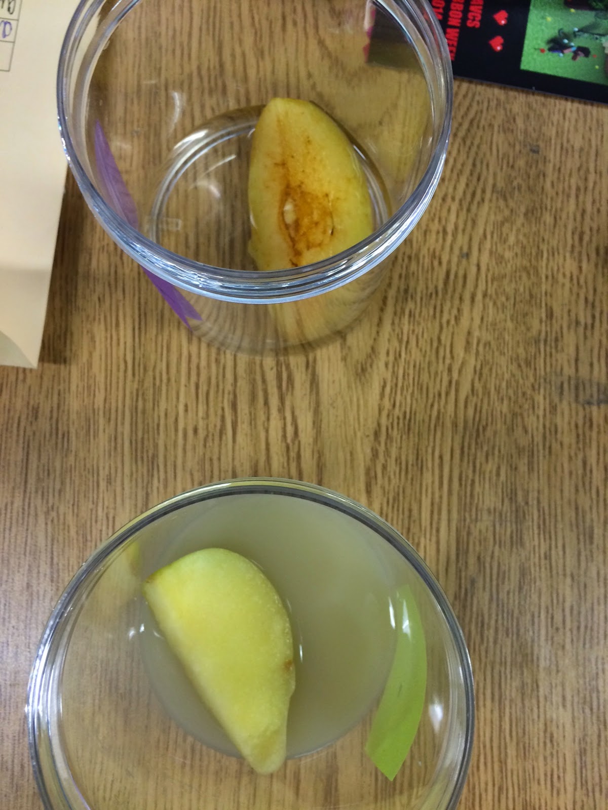 Ms. Spinrod's Class: Apple Lab