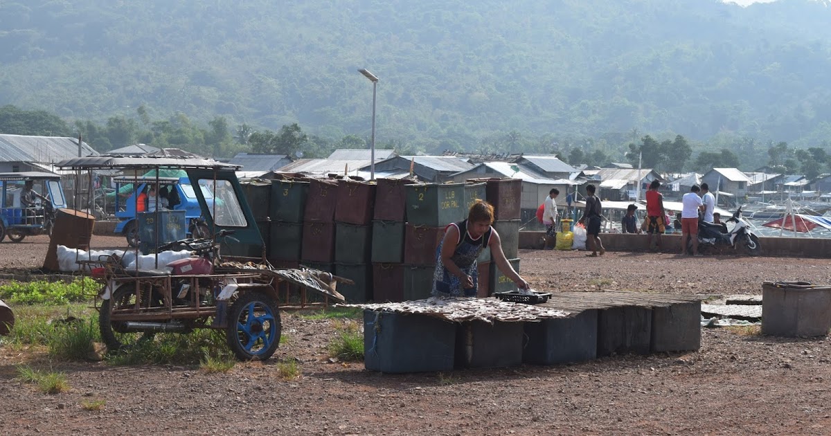 Zuriel Shots: Lamayo Fish