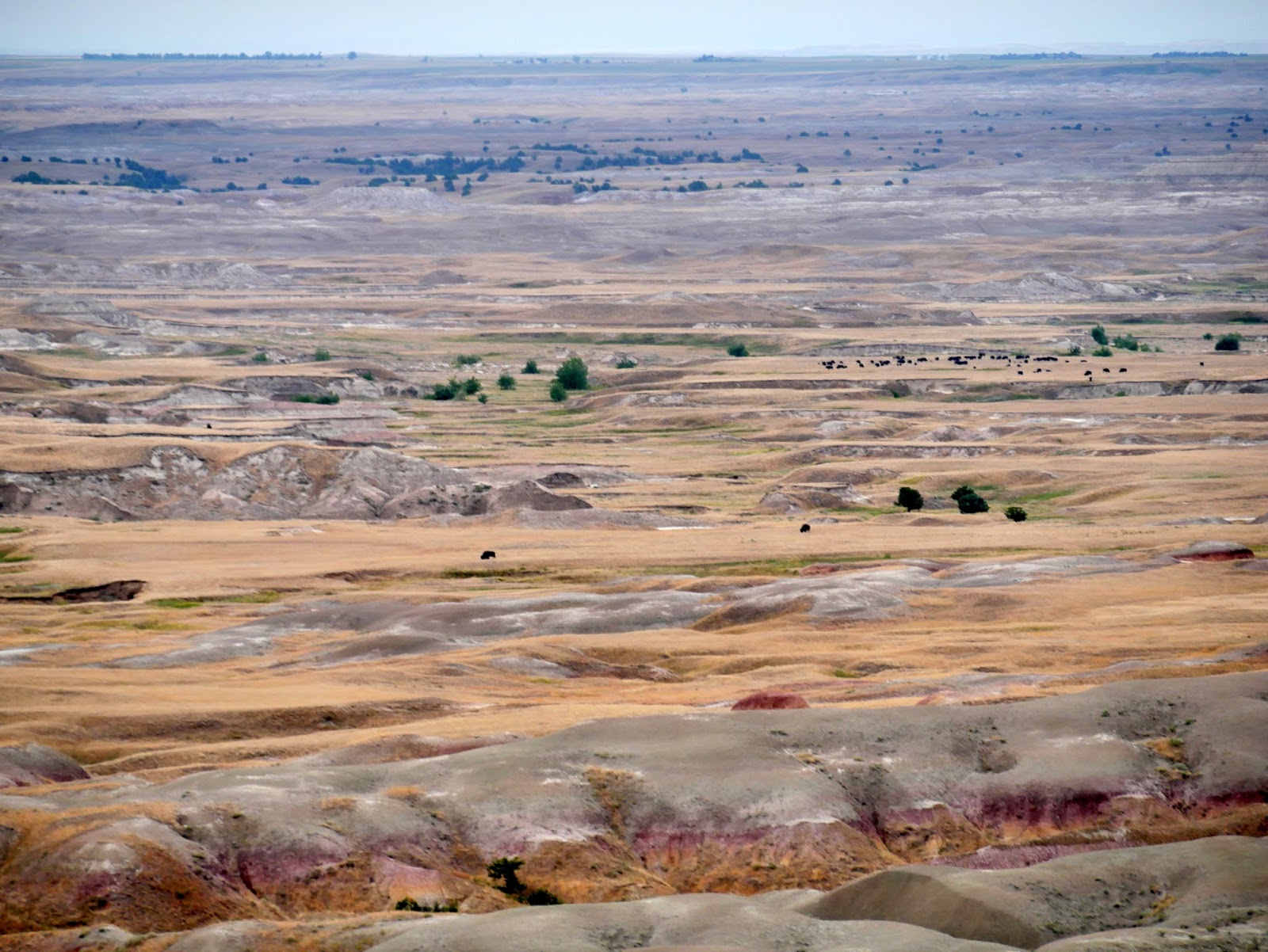 American Travel Journal: Sage Creek Rim Road - Badlands National Park