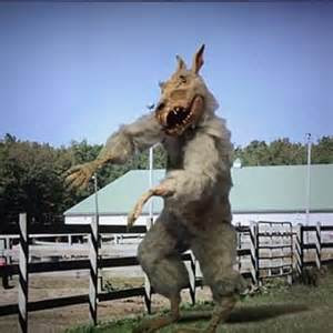 John Llewellyn Probert's House of Mortal Cinema: The Beaster Bunny (2014)