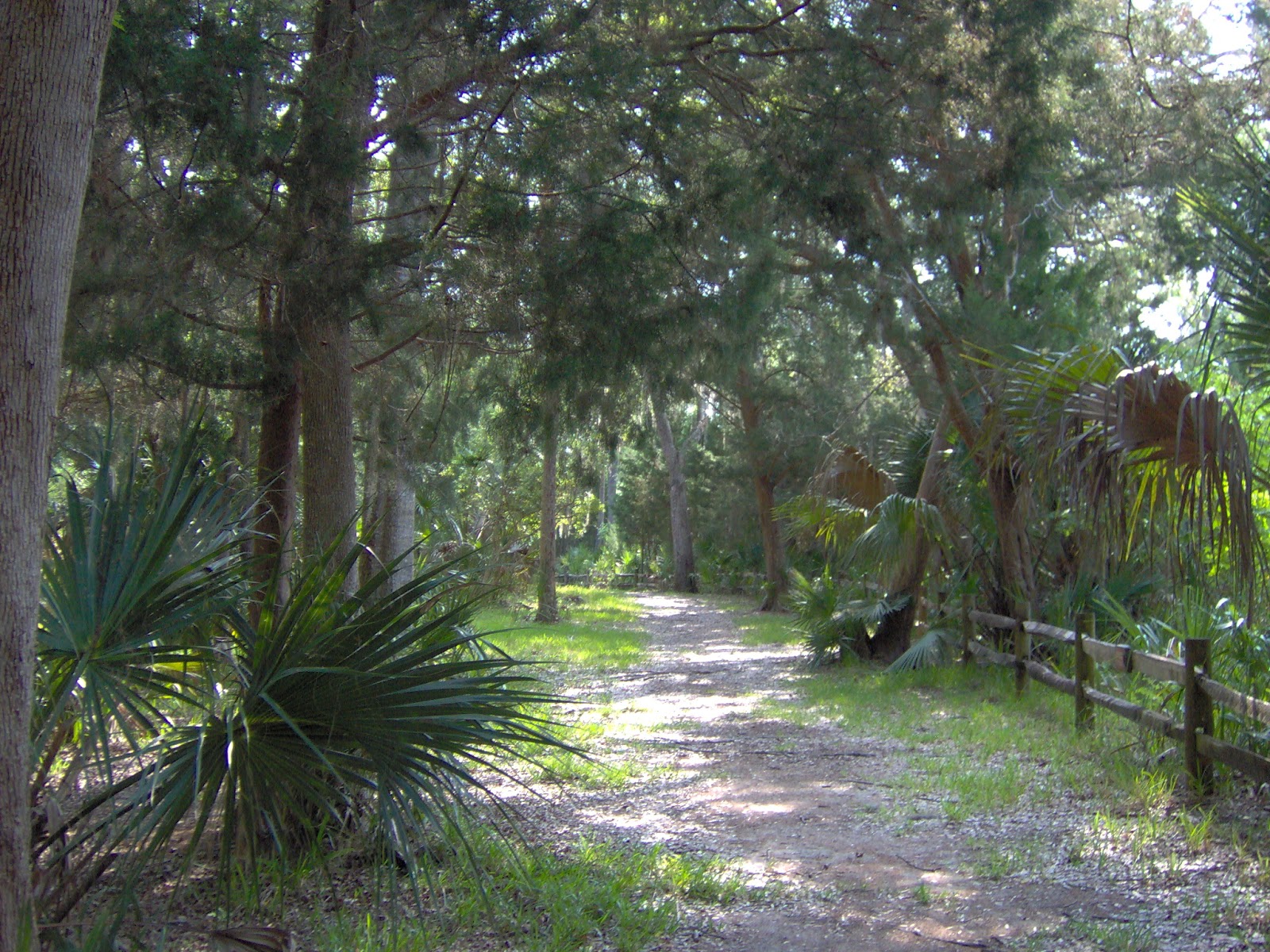 WildWildernessWalkers: Silver Glenn Springs