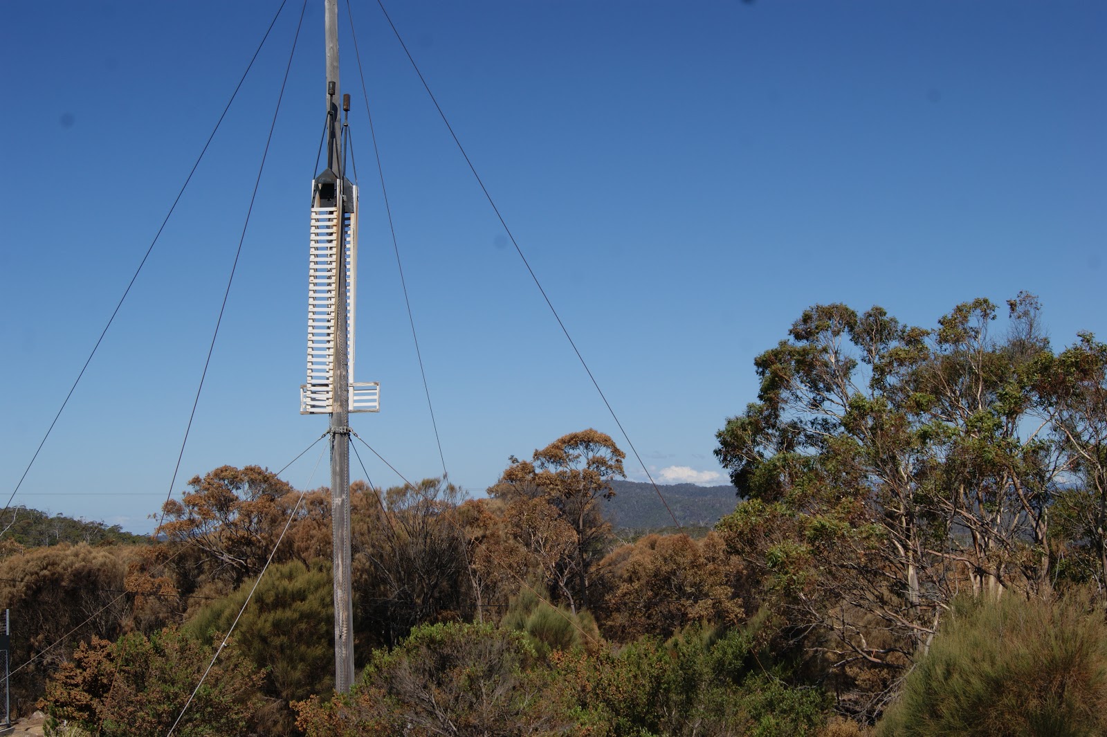 On The Convict Trail: Tamar Valley Semaphore System