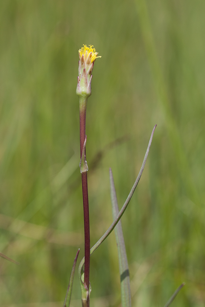 Lengyel Attila kutatói blogja: Terepi felvételezés a Duna-Tisza köze ...