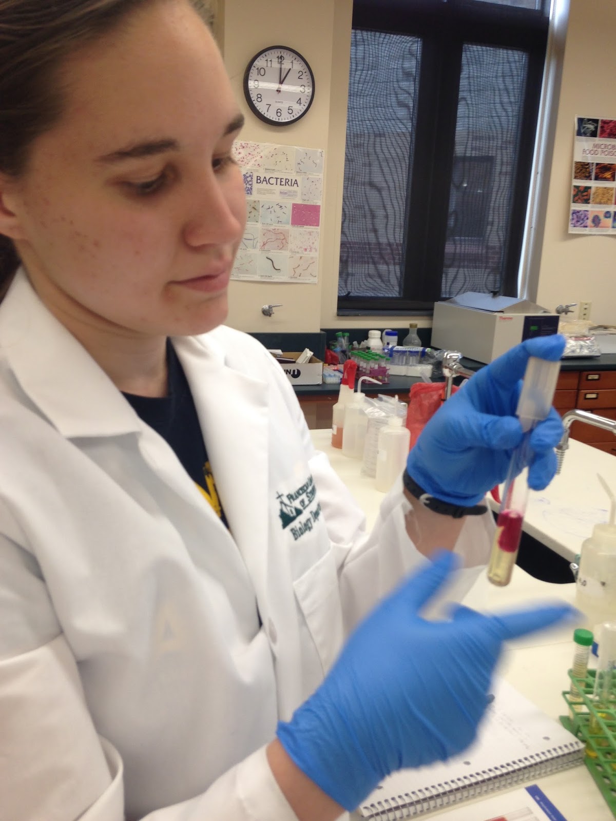 Microbiology Mania: Nitrate Reduction Test {Lab 8 - May 21, 2015}