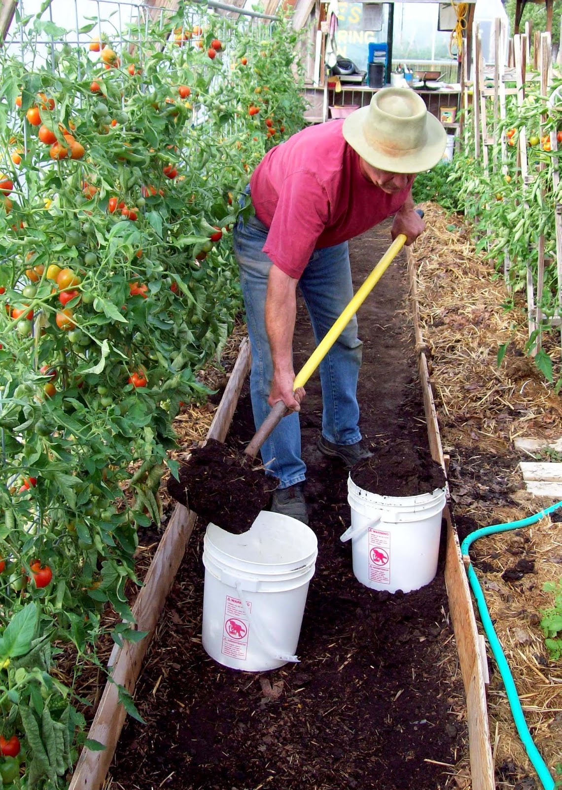 The Sharing Gardens : Making Your Own "Veganic" Potting Soil in Your ...