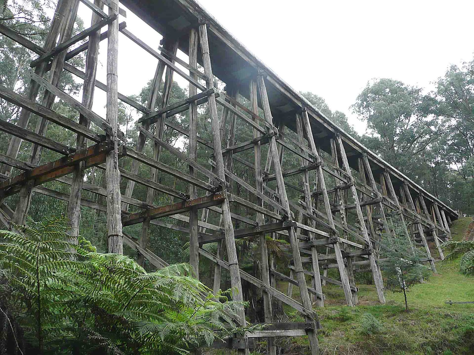Abandoned But Not Forgotten: Noojee Line - Bridge Number 7