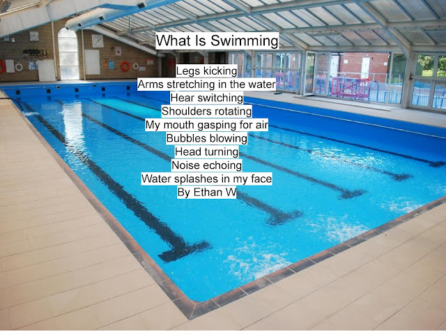 Makarewa School Room One: Swimming Poems