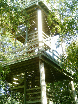 Day Hiking Trails: Tour of Wisconsin’s major trees, observation tower ...