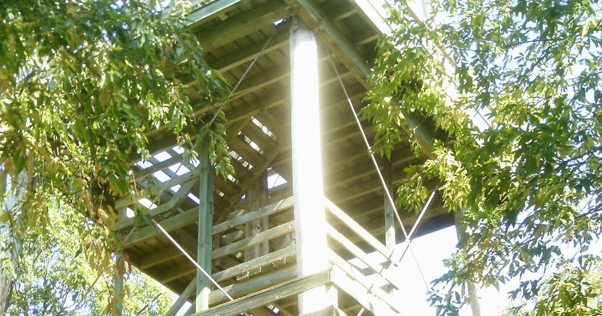 Day Hiking Trails: Tour of Wisconsin’s major trees, observation tower ...