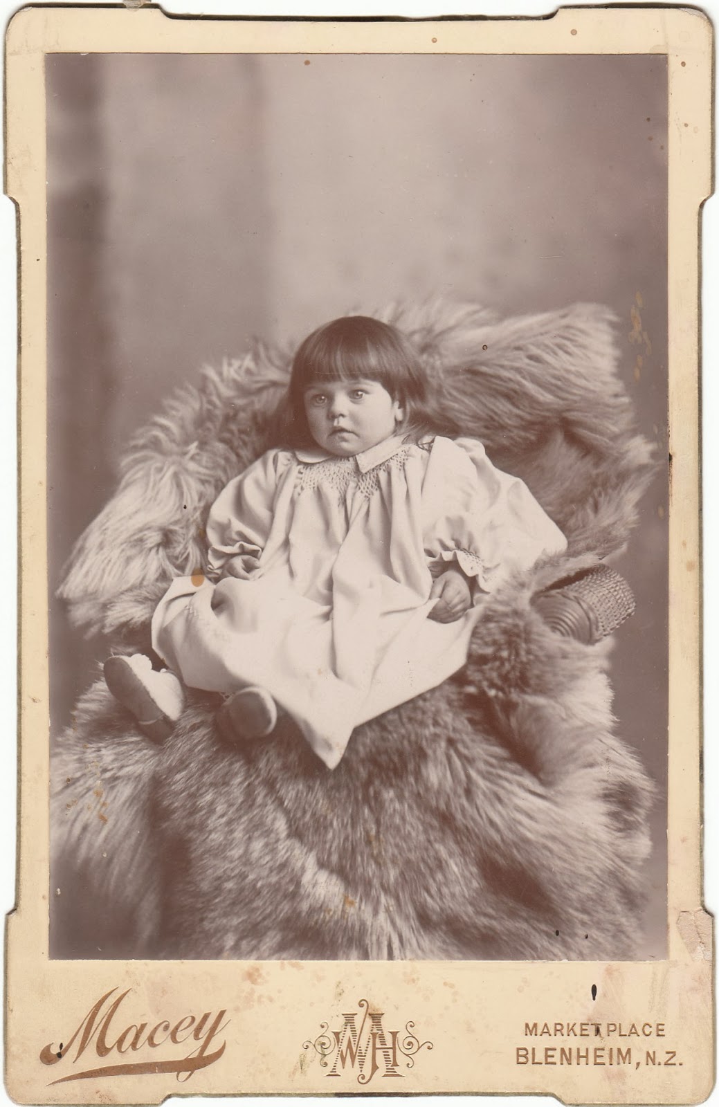 Early New Zealand Photographers: MACEY, William Henry