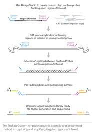 Targeted Cancer sequencing methods - Enseqlopedia