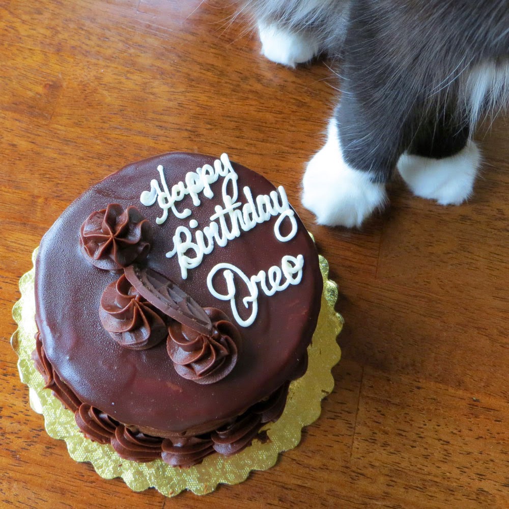 Card-Blanc by Kathy Martin: What's new Wednesday