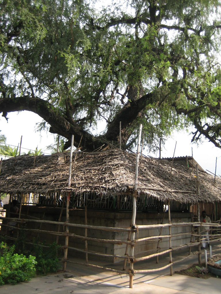 Tamilnadu Tourism: Mahudeshwarar Temple, Kodumudi – The Temple