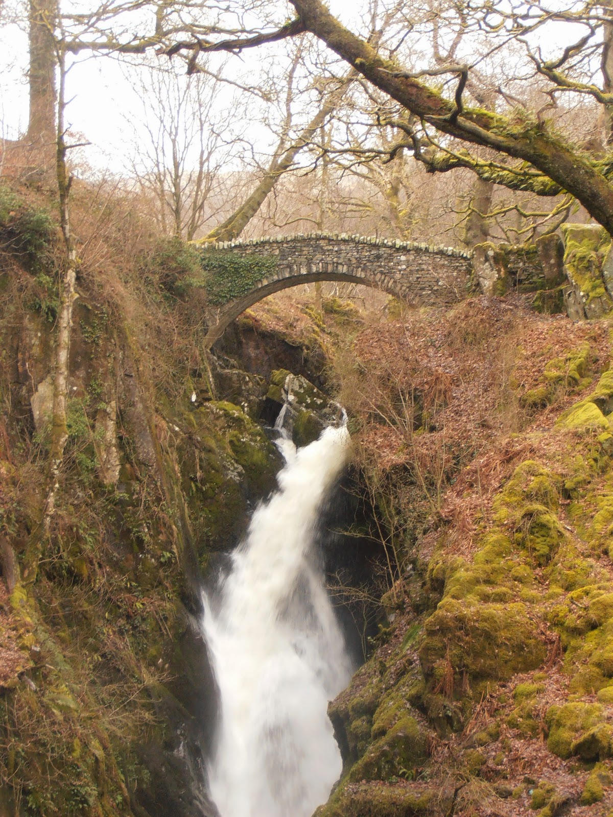 A Random Traveller: 1 April 2015 Stybeck Farm, Stirlmere, Keswick, Wales