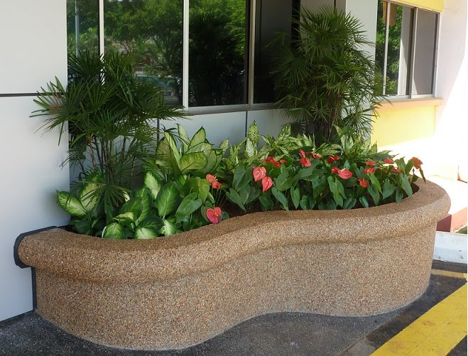 Teknik Membuat Batu Pemijak Pebble Stone Wash | Seri Pinang