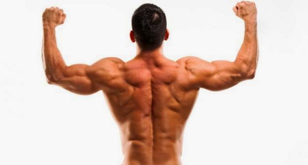 BEGINNERS BACK WORKOUT GUIDE « BODY BUILDING