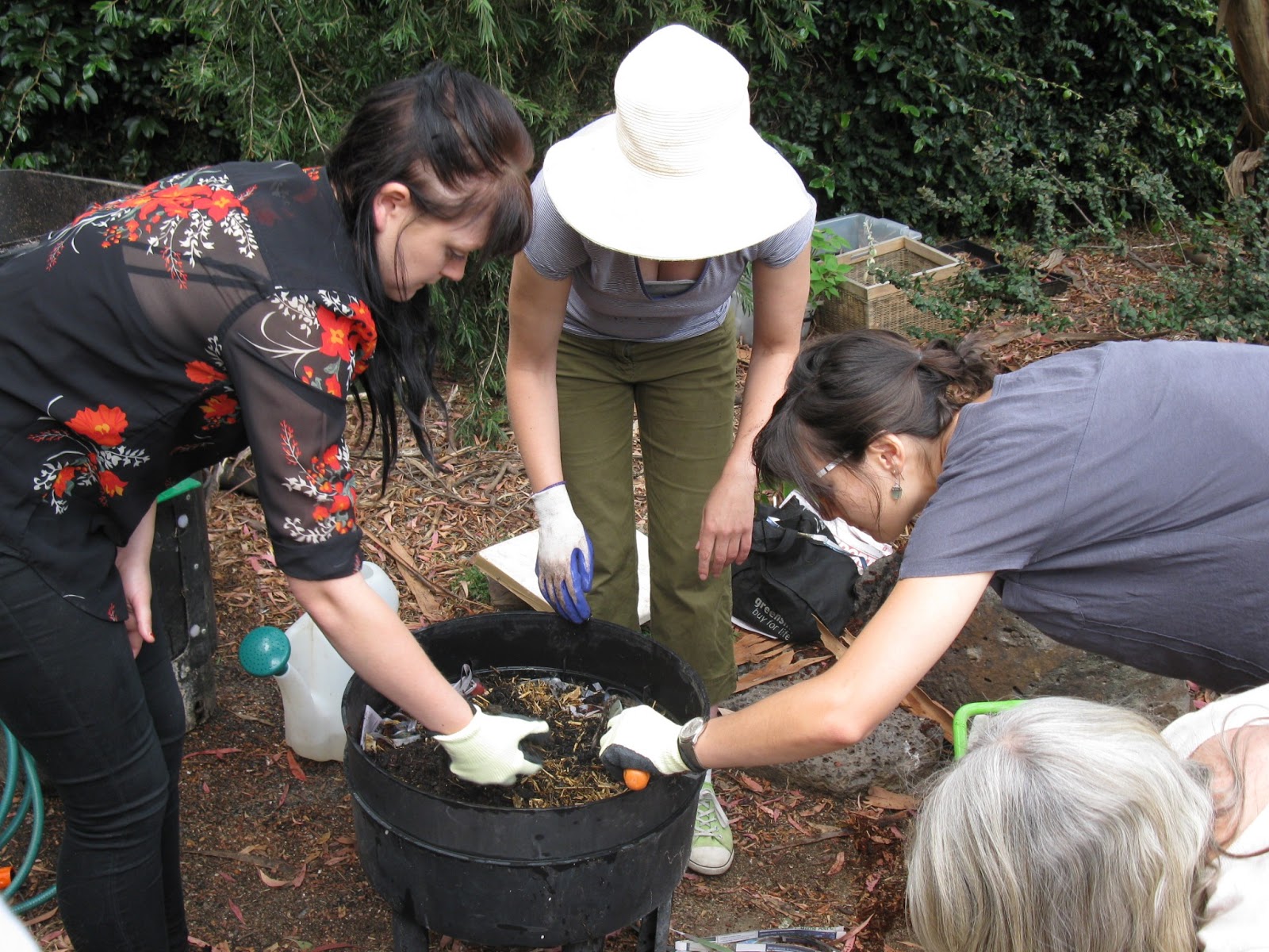 Northcote Library Food Garden: Send in the Worms