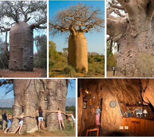 NephiCode: Comments Received About the Jaredites