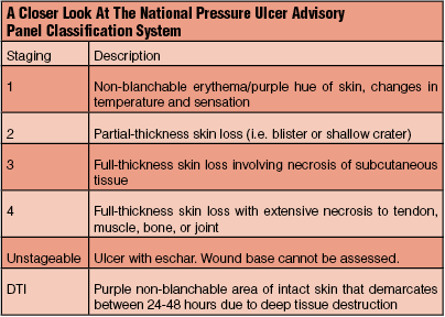 PRESSURE SORES - DNB Orthopaedics MS Orthopedics MRCS Exam GUIDE ...
