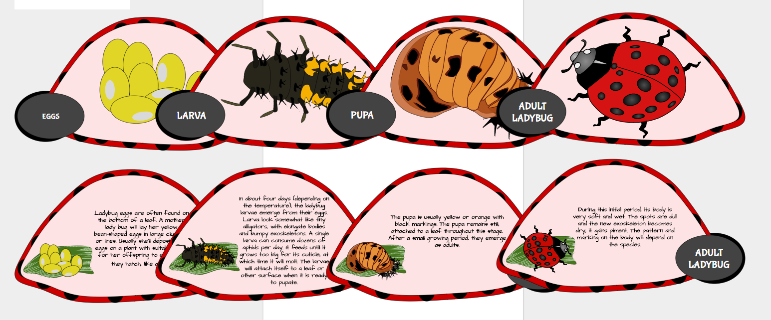 I LOVE TEACHING IDEAS