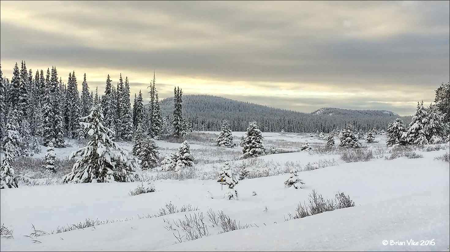 Northern Interior British Columbia: Winter's December 2015 Snowfall 3 ...