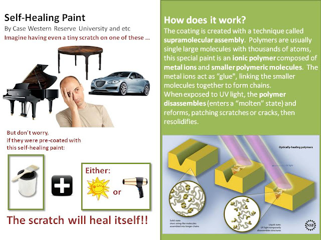 Material Atlas of Ecotones: Self-Healing Paint