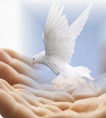 Oración 10 Manos de Poder