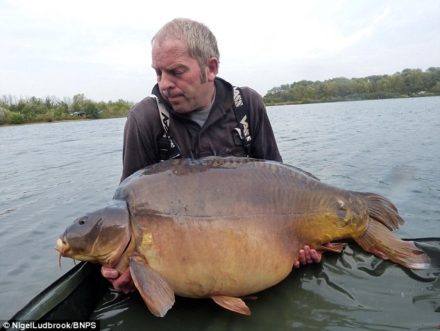 World Record Carp