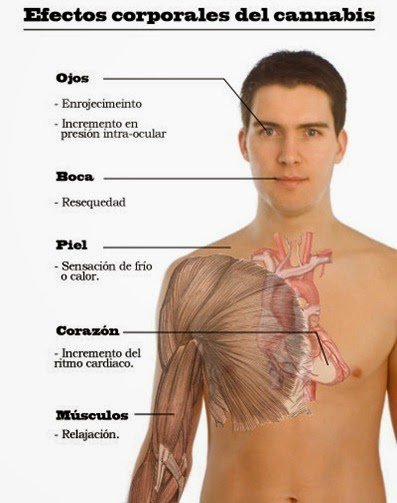 Efectos de la Marihuana