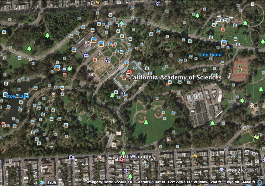 California Academy of Sciences: 2월 2015