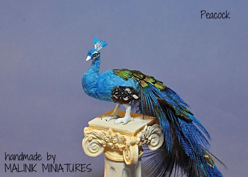 MALINIKminiatures: Dollhouse Miniature Realistic Peacock OOAK bird ...