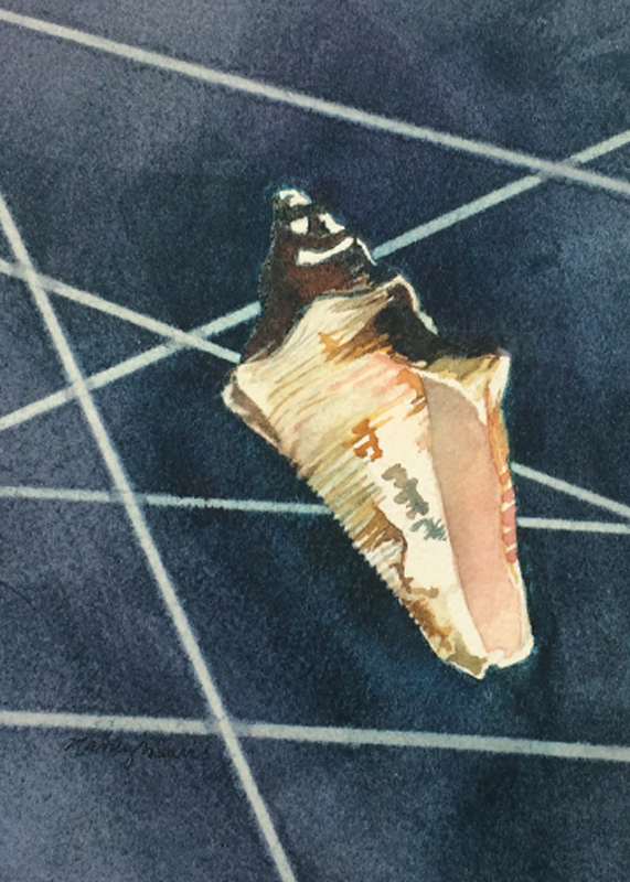 My Many Impressions: 9 of 30 Juvenile Conch, Revisited