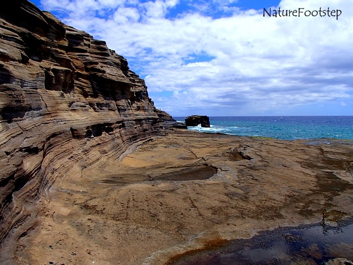 NatureFootsteps Travels: 130824 Hiking Koko Head Point and dolphins