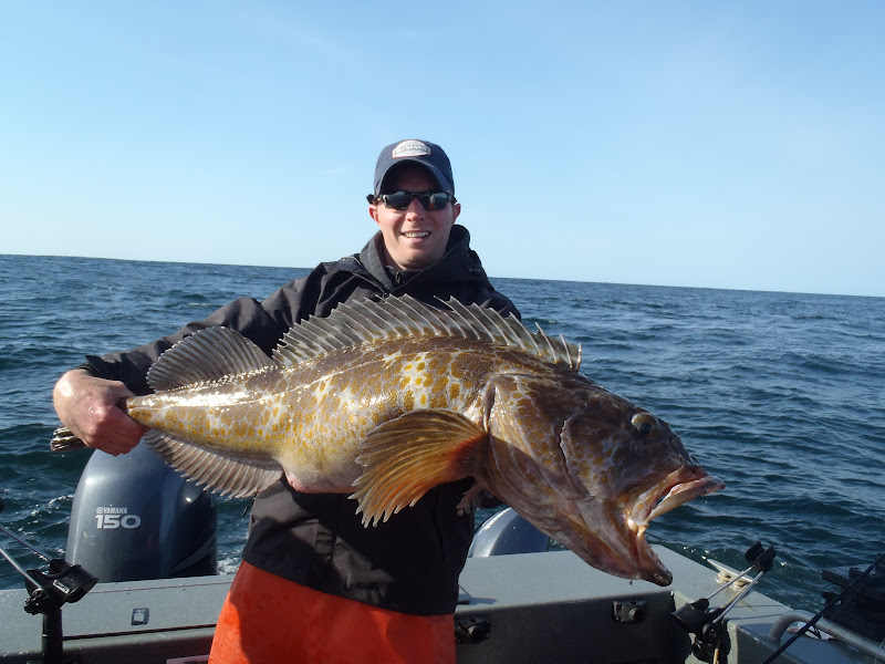 Todds Extreme Fishing: Westport Halibut & lingcod 5-6-12